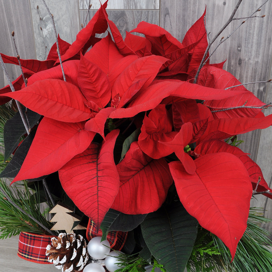 À la Boîte à Fleurs - Découvrez un univers fleurs et saveurs